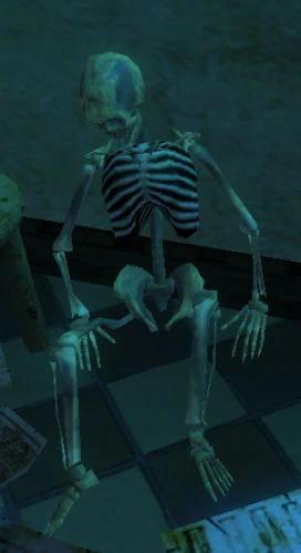Skelett | VENETICA Wiki | Fandom