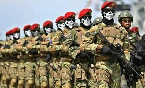 Grupo de Tarea Omega | Wiki Venezuela admirable | Fandom