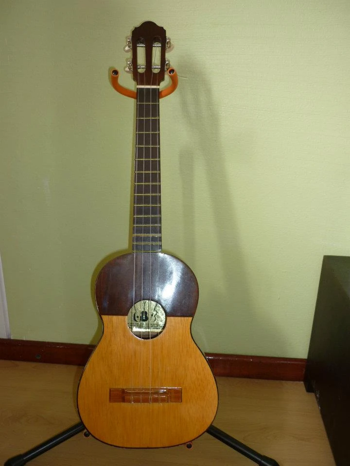 Venezuelan Cuatro | LUIS Wiki | Fandom