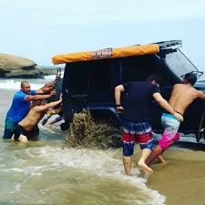 Toyobobo | WikiVenezuela | Fandom