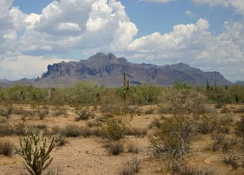 Sarif | Vennix Productions | Fandom