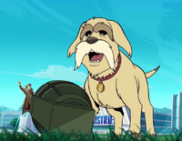 Scamp | Venture Brothers Wiki | Fandom