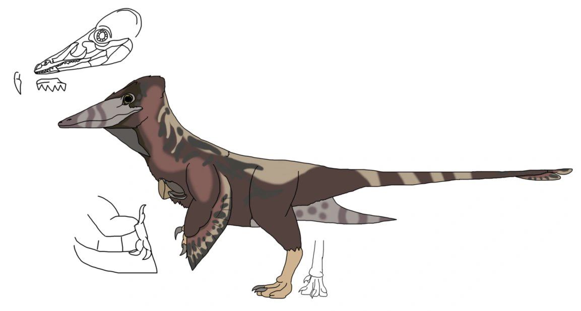 Crowcars | Venturian Battle Headquarters Wikia | Fandom