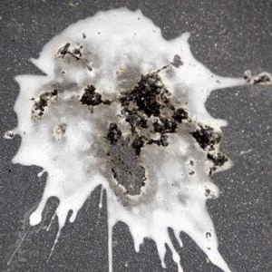 Bird Poo | Venturian Battle Headquarters Wikia | Fandom