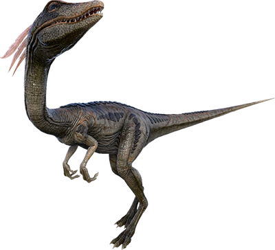 Procompsagnathus | Venturian Battle Headquarters Wikia | Fandom