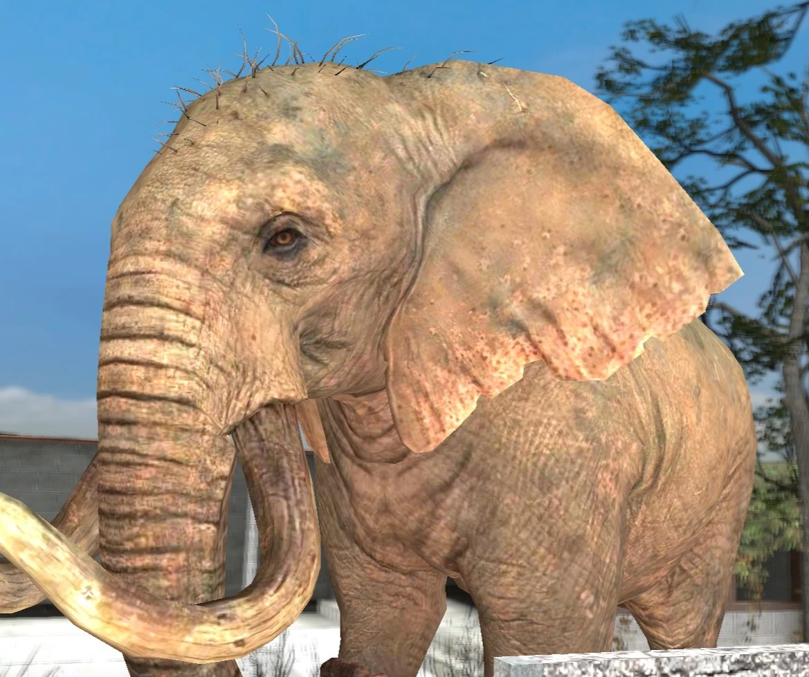 Suitcase | VenturianTale Wiki | Fandom