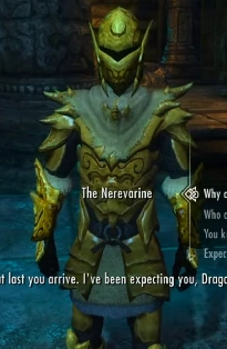 The Nerevarine | VenturianTale Wiki | Fandom