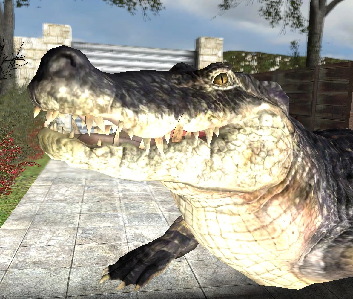 Junior | VenturianTale Wiki | Fandom