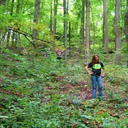 Cierra Frye | VenturianTale Wiki | Fandom