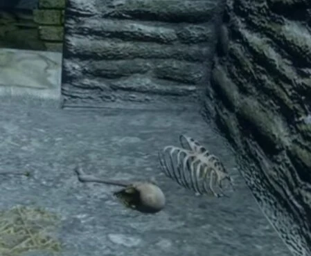 Bob (Skeleton) | VenturianTale Wiki | Fandom