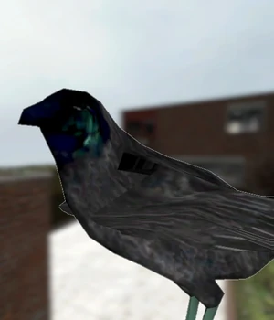 Bird | VenturianTale Wiki | Fandom