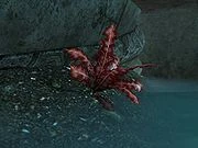 Nirnroot | VenturianTale Wiki | Fandom