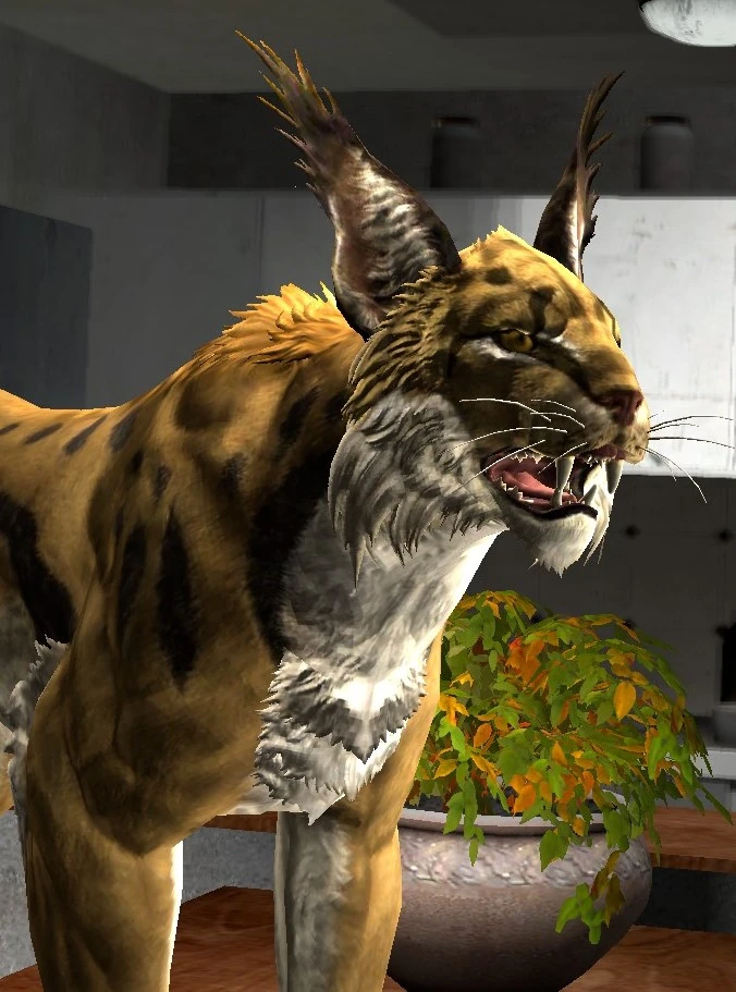 Unnamed lynx | VenturianTale Wiki | Fandom