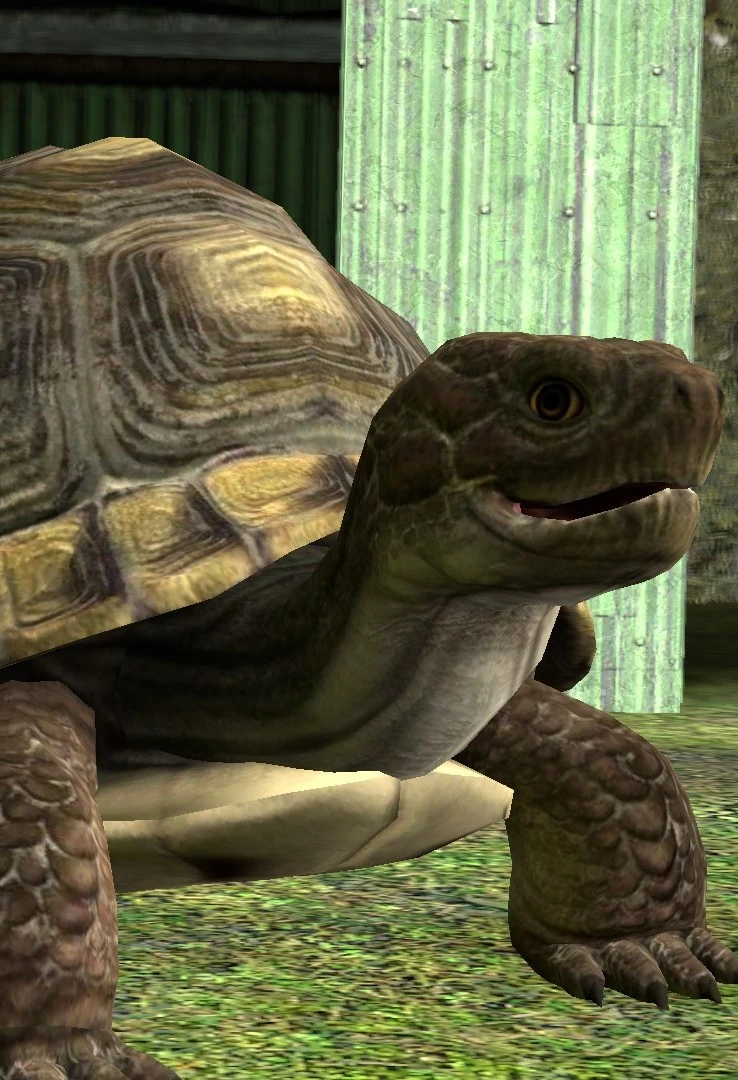 Hurricane The Turtle | VenturianTale Wiki | Fandom
