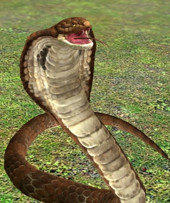 Snakey | VenturianTale Wiki | Fandom