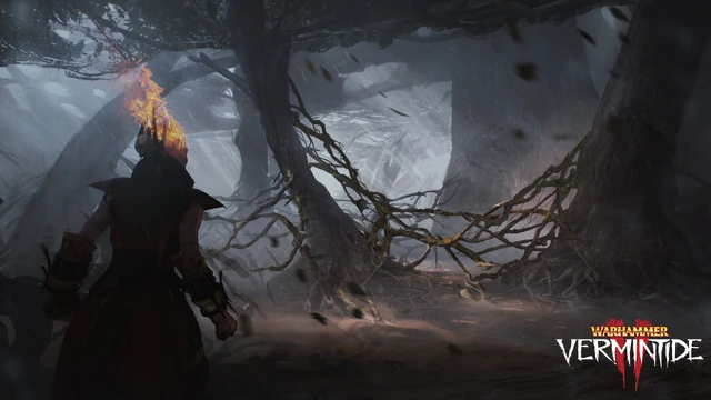 Game Art | Vermintide2 Wiki | Fandom