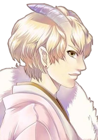 Boros | Vermonia Wiki | Fandom