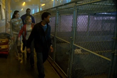 Veronica Mars Robert Clark