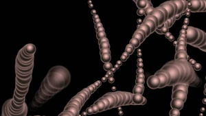 Space Time Worms | Verse and Dimensions Wikia | Fandom