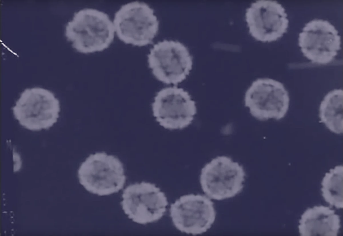 Bioverse | Verse and Dimensions Wikia | Fandom