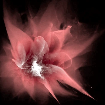 Quettaverse | Verse and Dimensions Wikia | Fandom