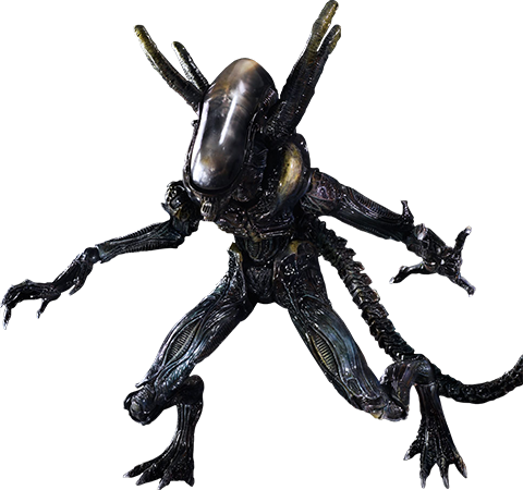 Xenomorph | Versus Compendium Wiki | Fandom