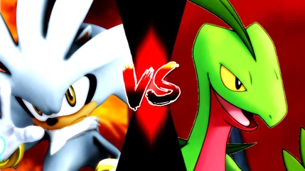 Silver the Hedgehog Vs Grovyle | Versus Connections Wiki | Fandom