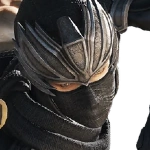 Ninja Gaiden | Versus Connections Wiki | Fandom