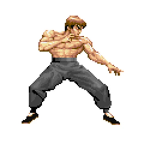 Fei Long | Wiki Versus Fighting | Fandom