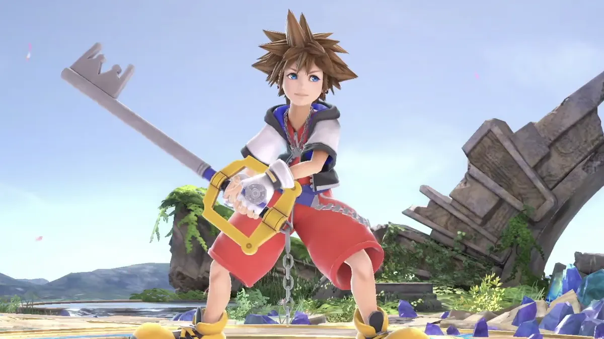 Sora | Wiki Versus Fighting | Fandom