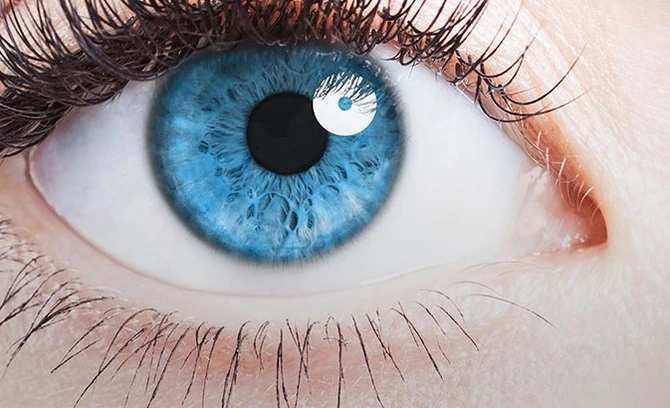 Verticality Wiki | Fandom