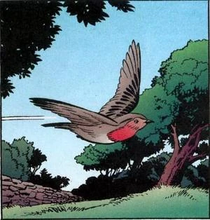 Cock Robin | Vertigo Comics Wiki | Fandom