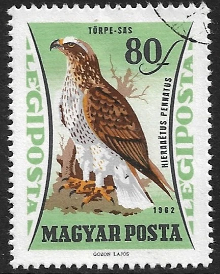 Hieraaetus pennatus | Verzamel wiki | Fandom