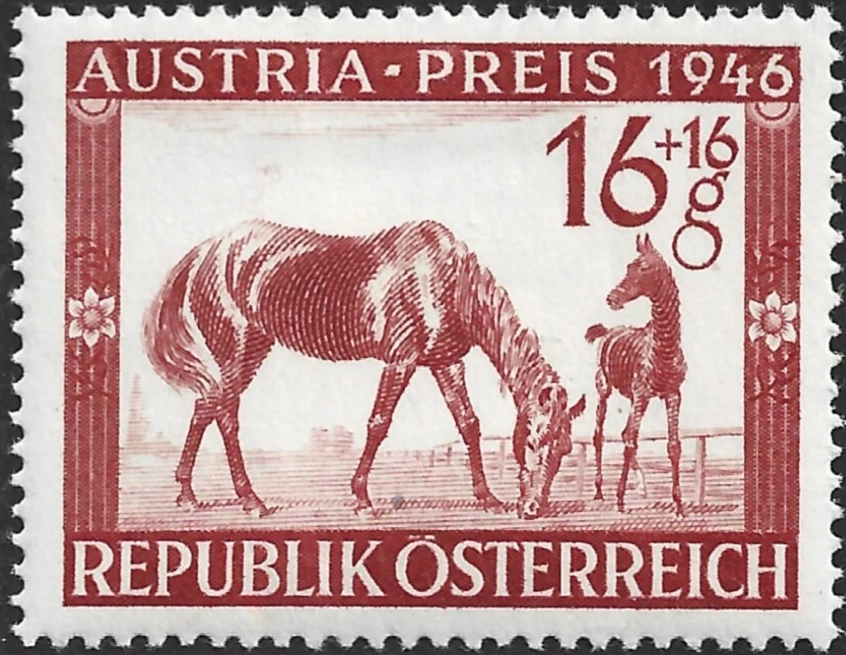 Equus caballus | Verzamel wiki | Fandom