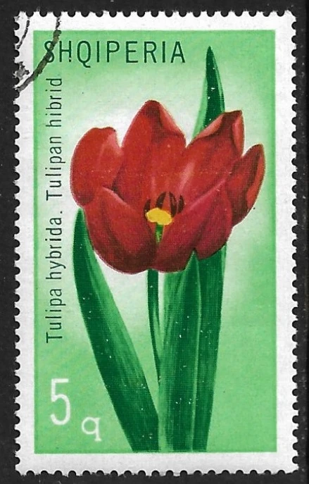 Albanië postzegels (1968-1991) | Verzamel wiki | Fandom