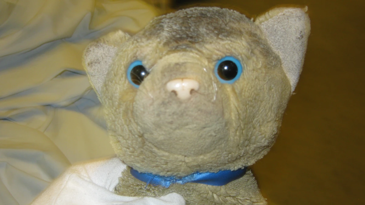 Vester Playtime | Vesterandfriends Wiki | Fandom