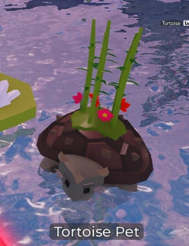 Tortoise Pet | Vesteria Wiki | Fandom
