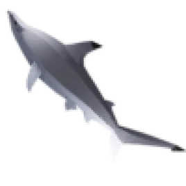 Hammerhead Shark | Vesteria Wiki | Fandom