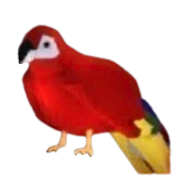 Parrot Pet | Vesteria Wiki | Fandom