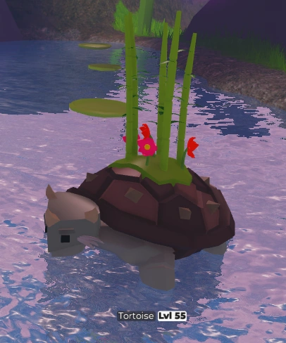 Tortoise | Vesteria Wiki | Fandom