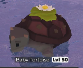 Baby Tortoise | Vesteria Wiki | Fandom