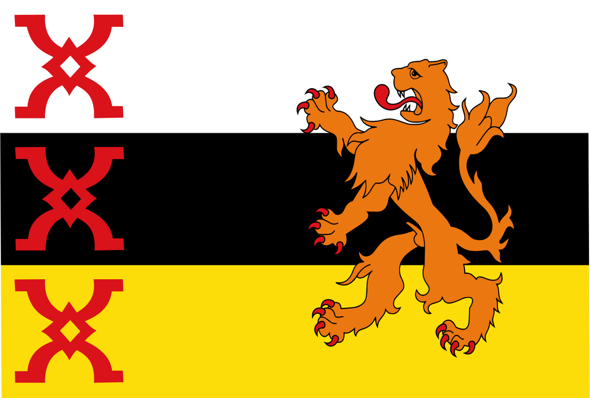 Image - Flag of Someren.svg | Vexillology Wiki | Fandom