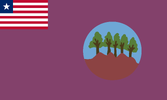 Flags of counties of Liberia | Vexillology Wiki | Fandom