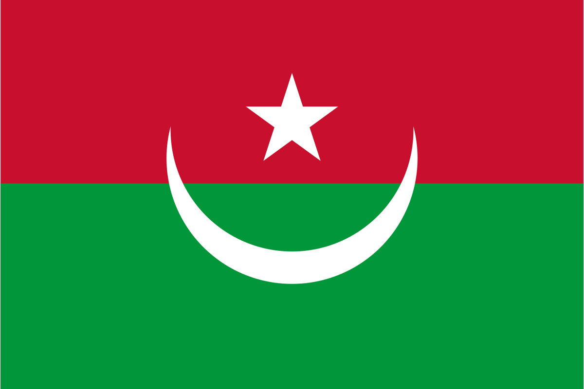 Hodh Ech Chargui Region | Vexillology Wiki | Fandom