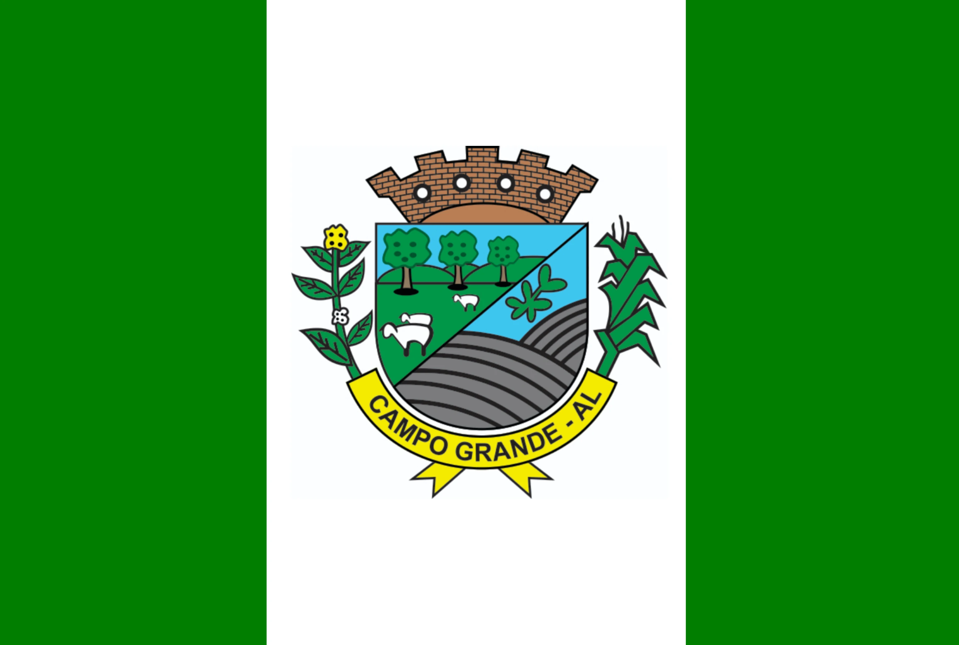 Campo Grande | Vexillology Wiki | Fandom