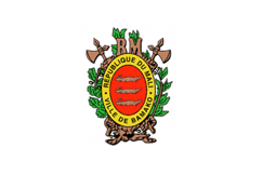 Proposed Flags of regions of Mali | Vexillology Wiki | Fandom