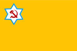 xinjiang alt flag