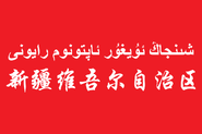 Xinjiang | Vexillology Wiki | Fandom