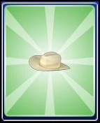 Texas Ranger Cowboy Hat | The Virtual Family Kingdom Wiki | Fandom