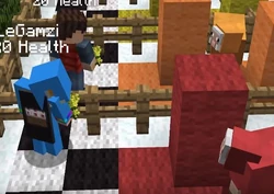 Sheep Race | Big Brother Minecraft Wiki | Fandom